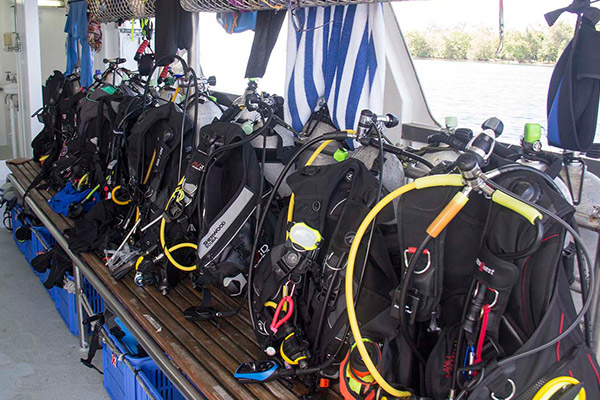 Solomons | Master Liveaboards