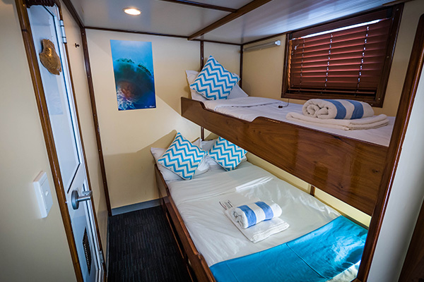 Solomons | Master Liveaboards